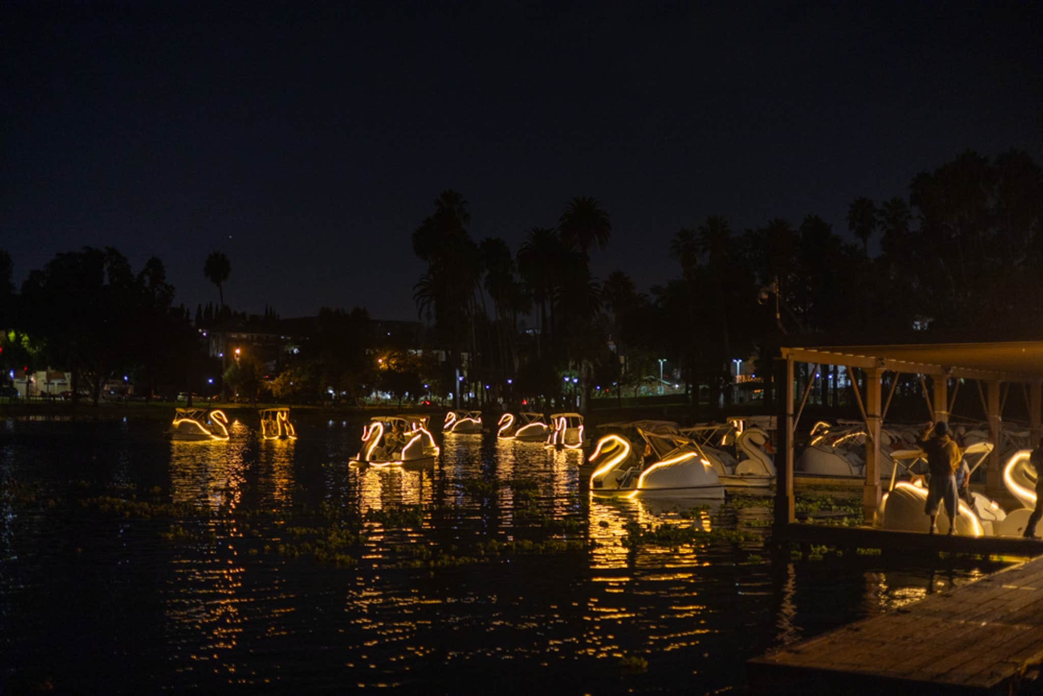 Pocket Dispo: The $50 Lens Your $1,000 Mirrorless Camera Needs