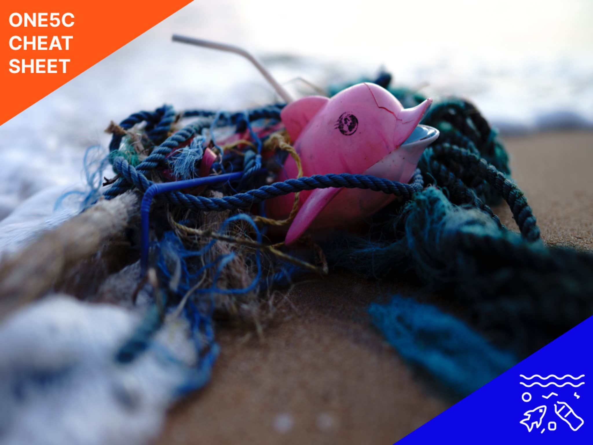 Why is plastic bad for the ocean? - one5c