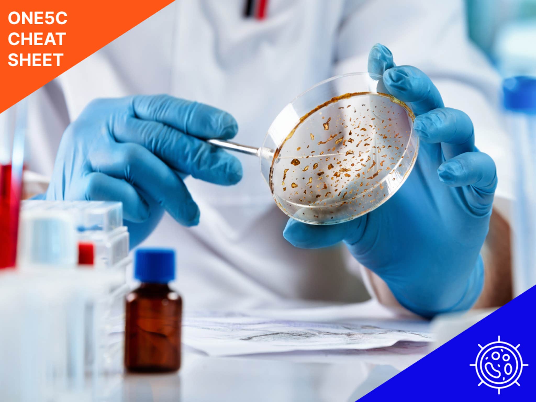 Plastic-eating bacteria, microbes, & enzymes - one5c
