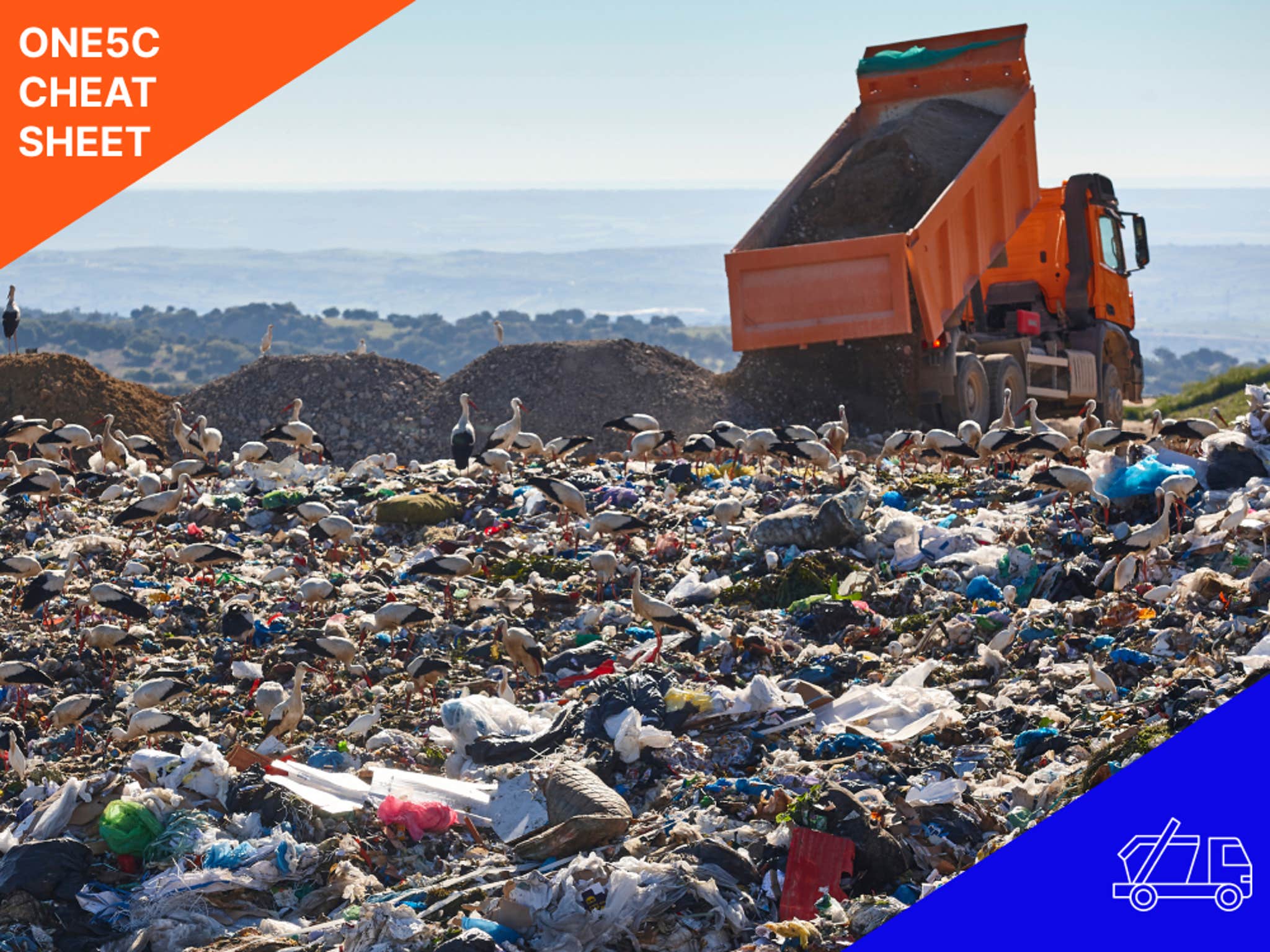 Food waste in landfills: What you need to know - one5c