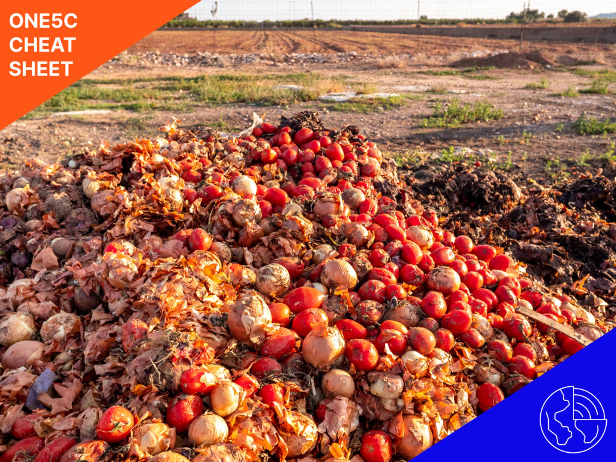 Food waste and the environment - one5c